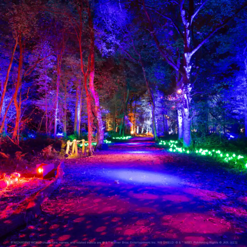 Harry Potter: A Forbidden Forest Experience